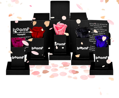 Boomf | Greeting Cards & Gifts Online | Next Day Delivery