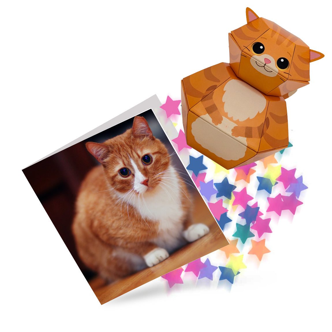 Ginger Cat 3D Pop-up Confetti Wild Card – Boomf