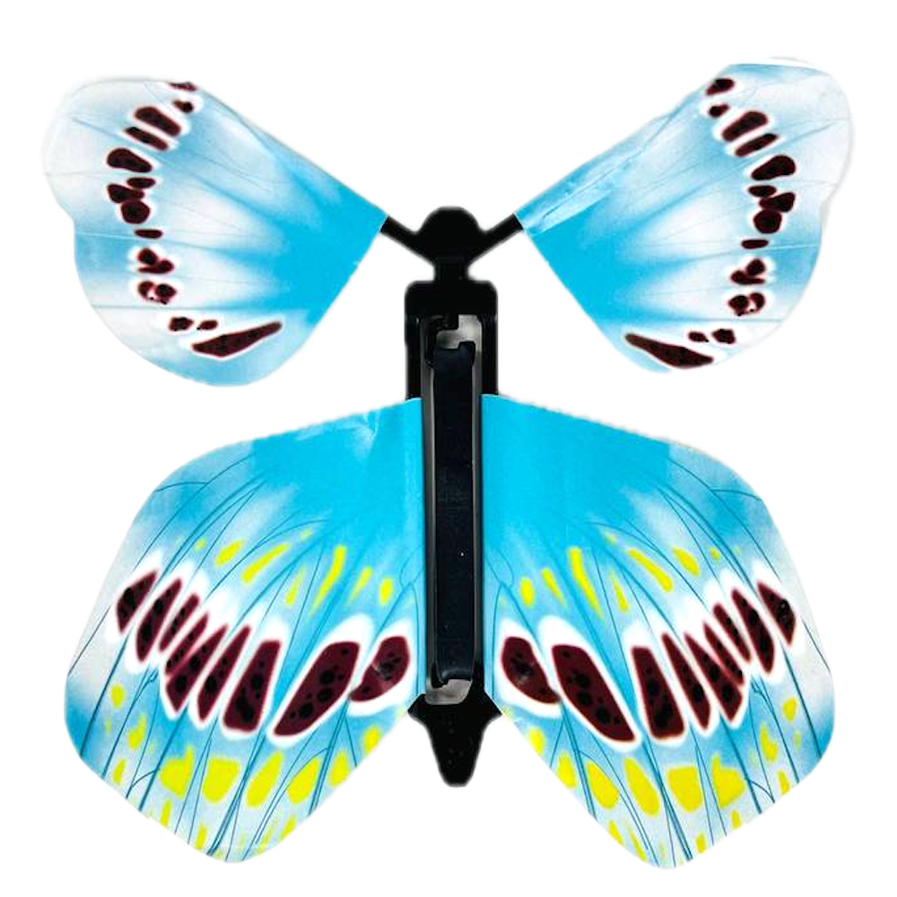 Ocean Wave Butterfly – Boomf