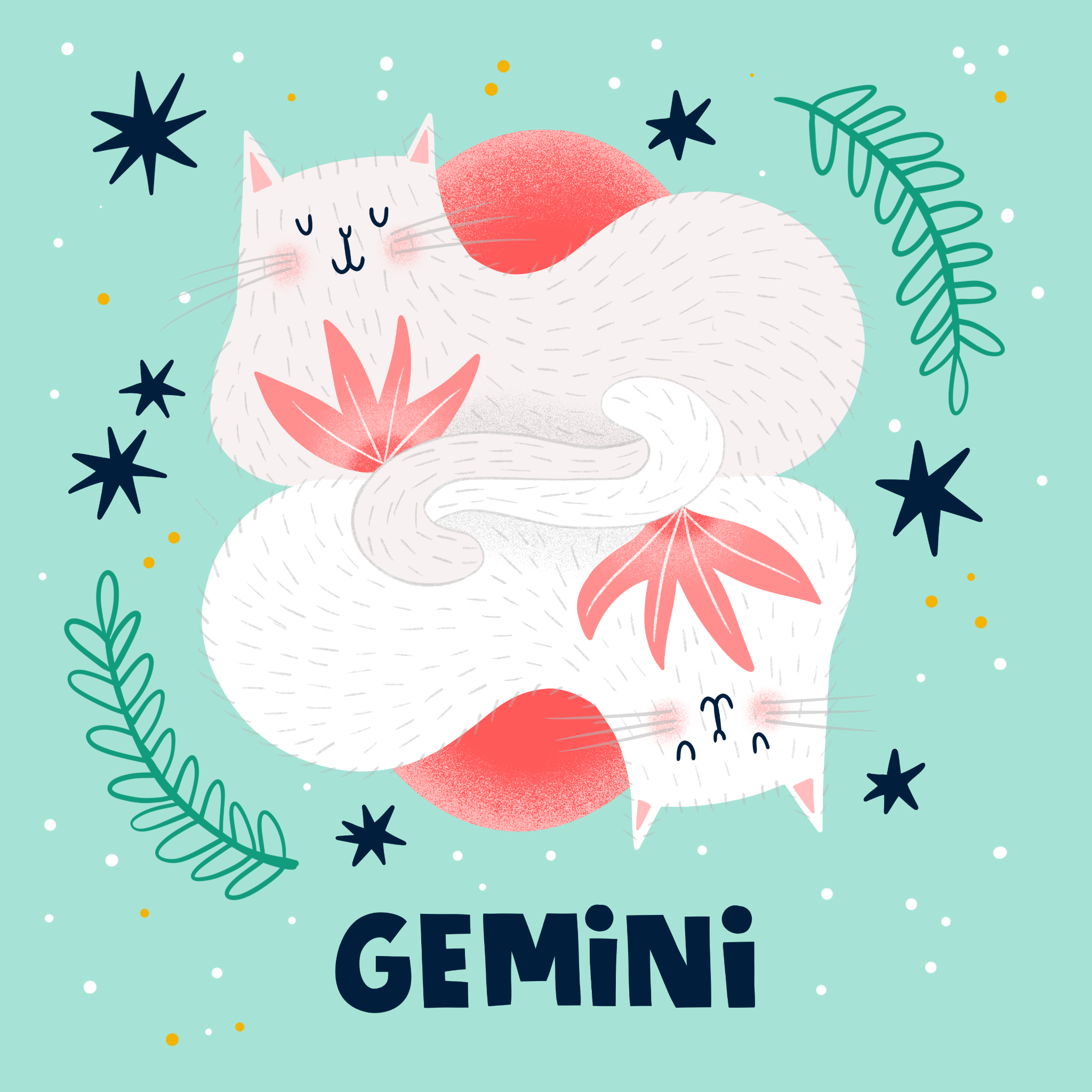 Gemini Cat Star Sign Birthday Card – Boomf