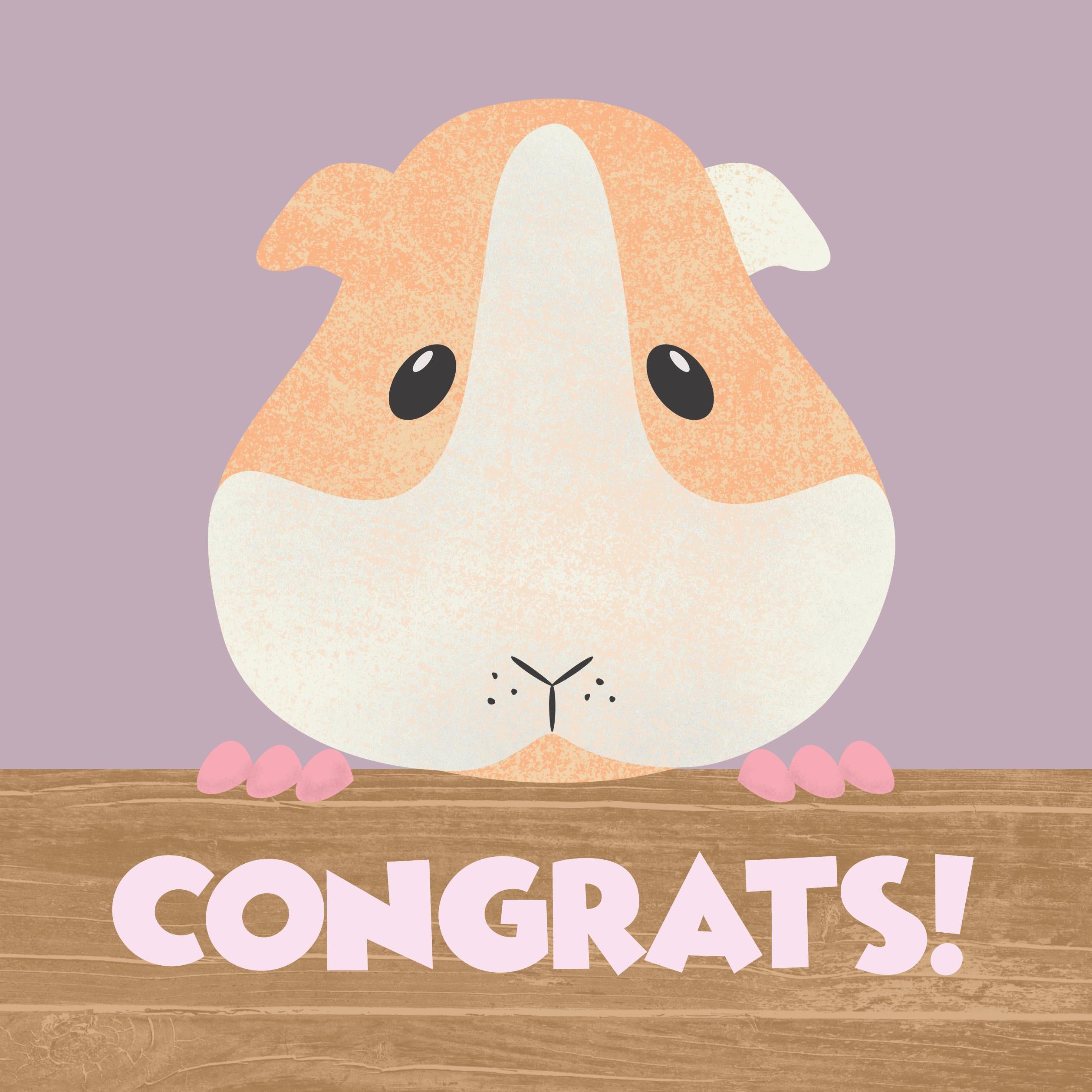 Congrats Cute Guinea Pig Confetti-exploding Greetings Card – Boomf