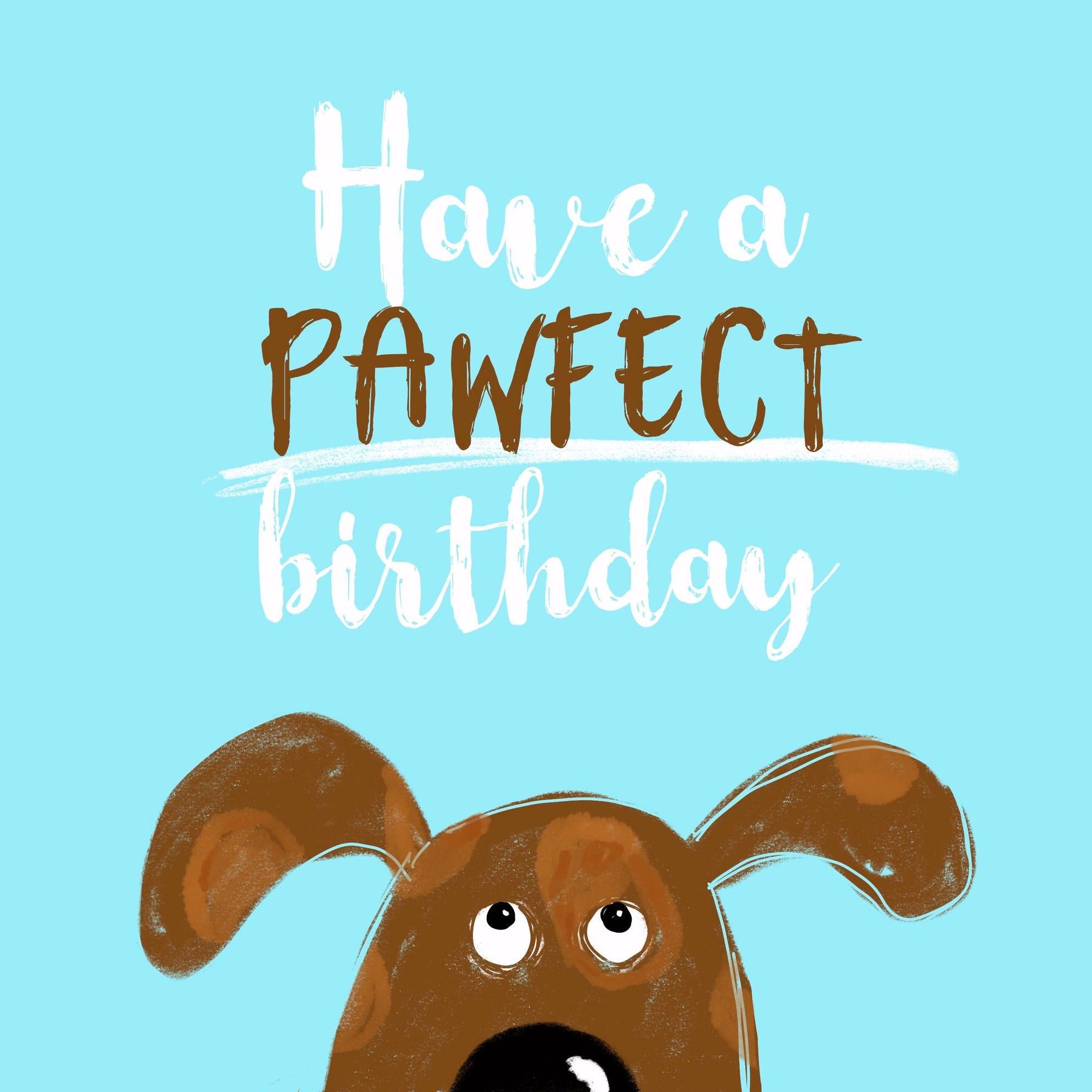 Have A Pawfect Birthday Confetti-exploding Greetings Card – Boomf