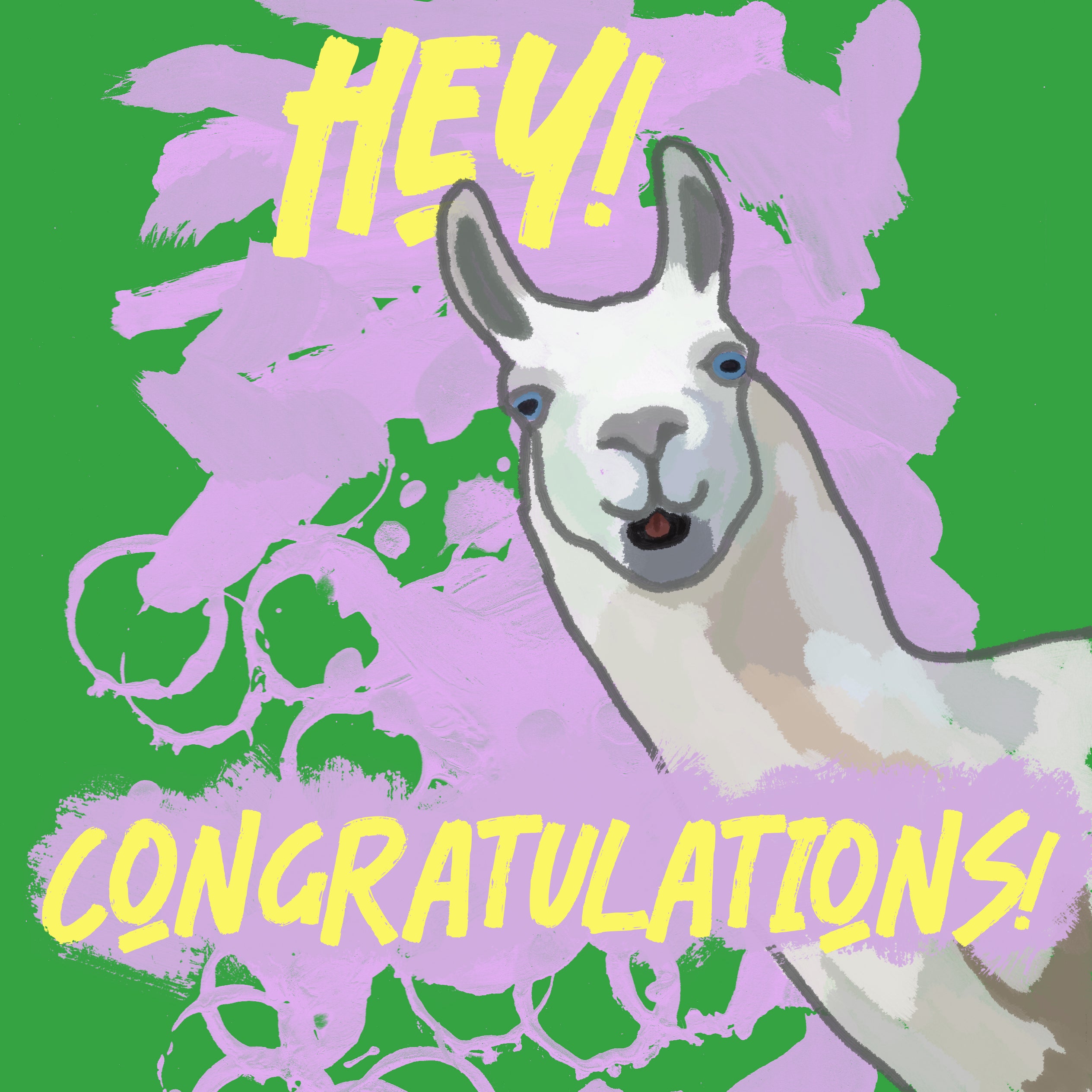 Llama On The Pink And Green Background Congratulations | Boomf