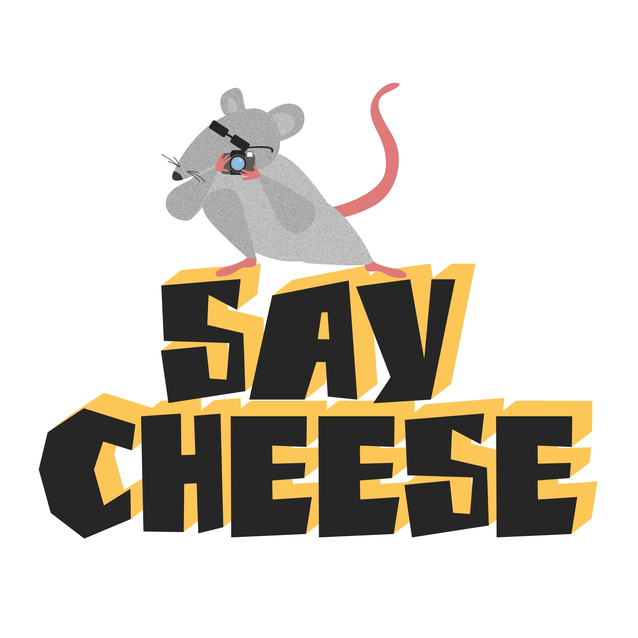Say Cheese Mouse With A Camera | Boomf
