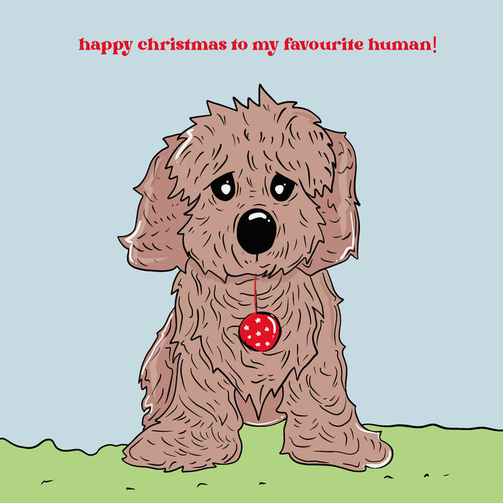 Cavapoo Christmas Greeting Cards - Boomf