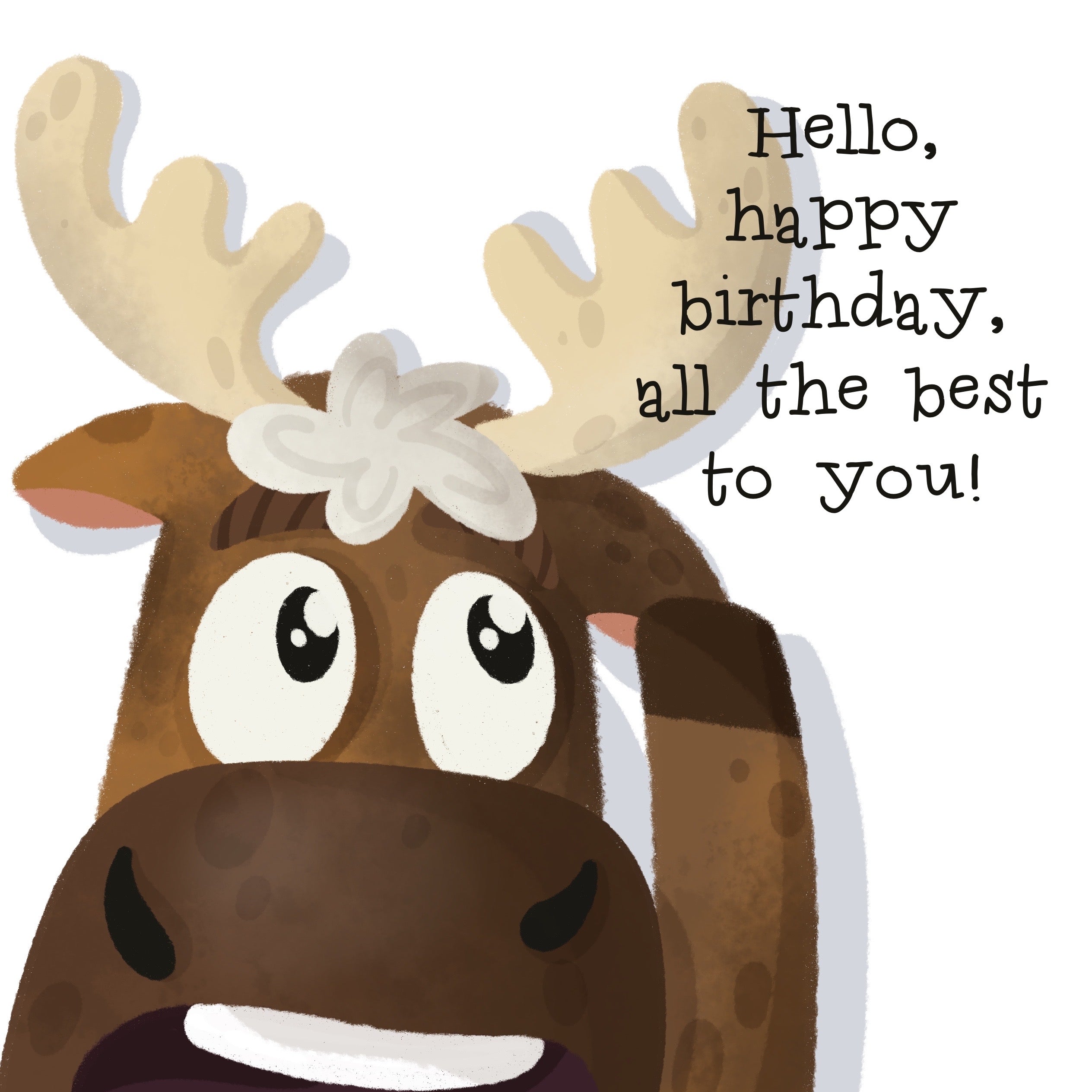 Moose All The Best To You Birthday Card | Boomf