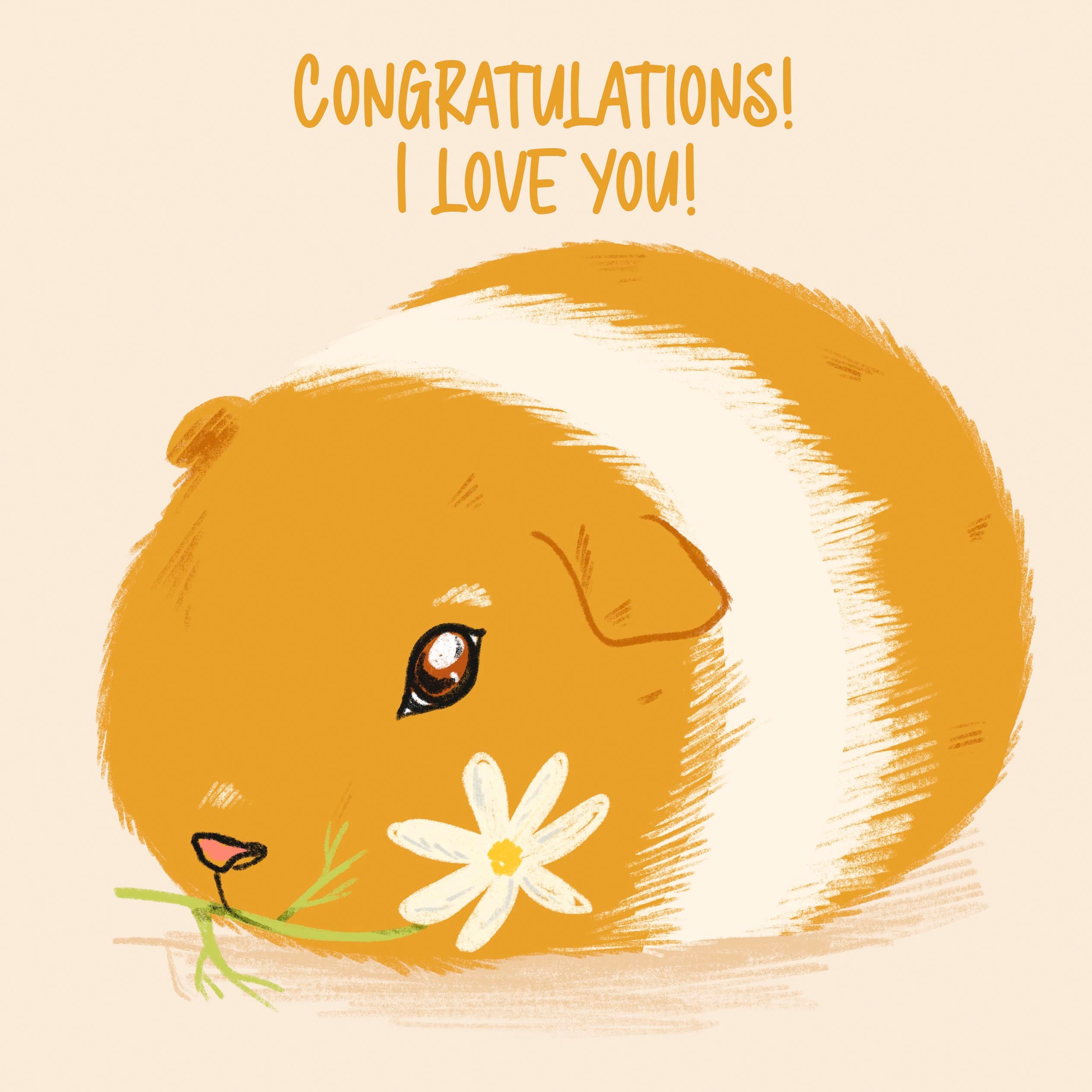 Congratulations I Love You Cute Guinea Pig With A Flower | Boomf